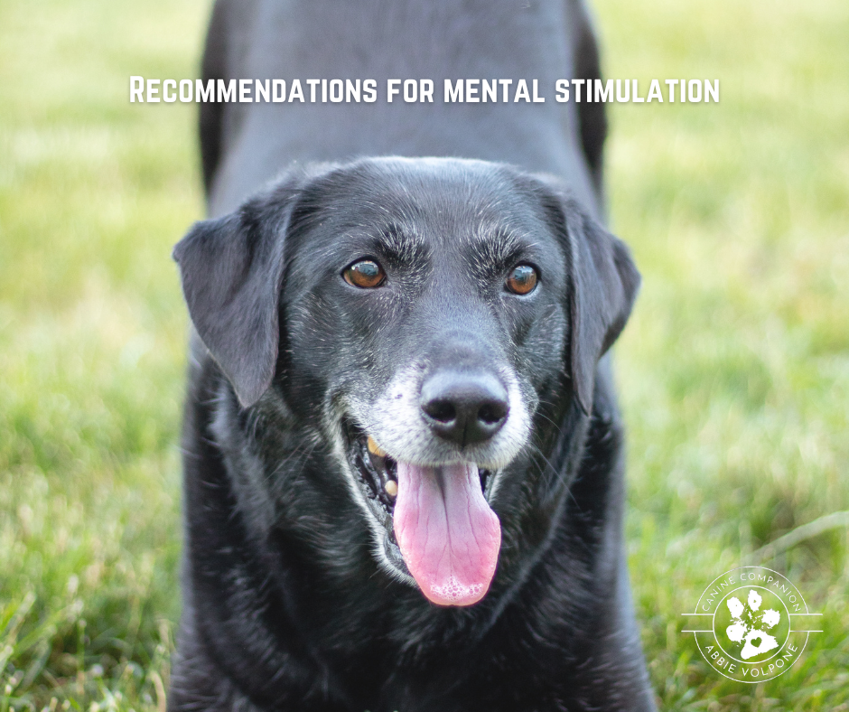 Enrichment: Recommendations for mental stimulation - Humane Training Alliance