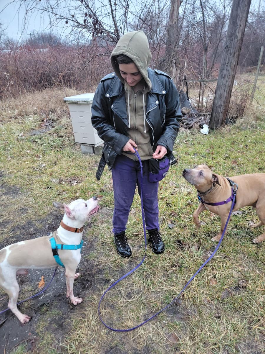 Become a Trainer - Humane Training Alliance