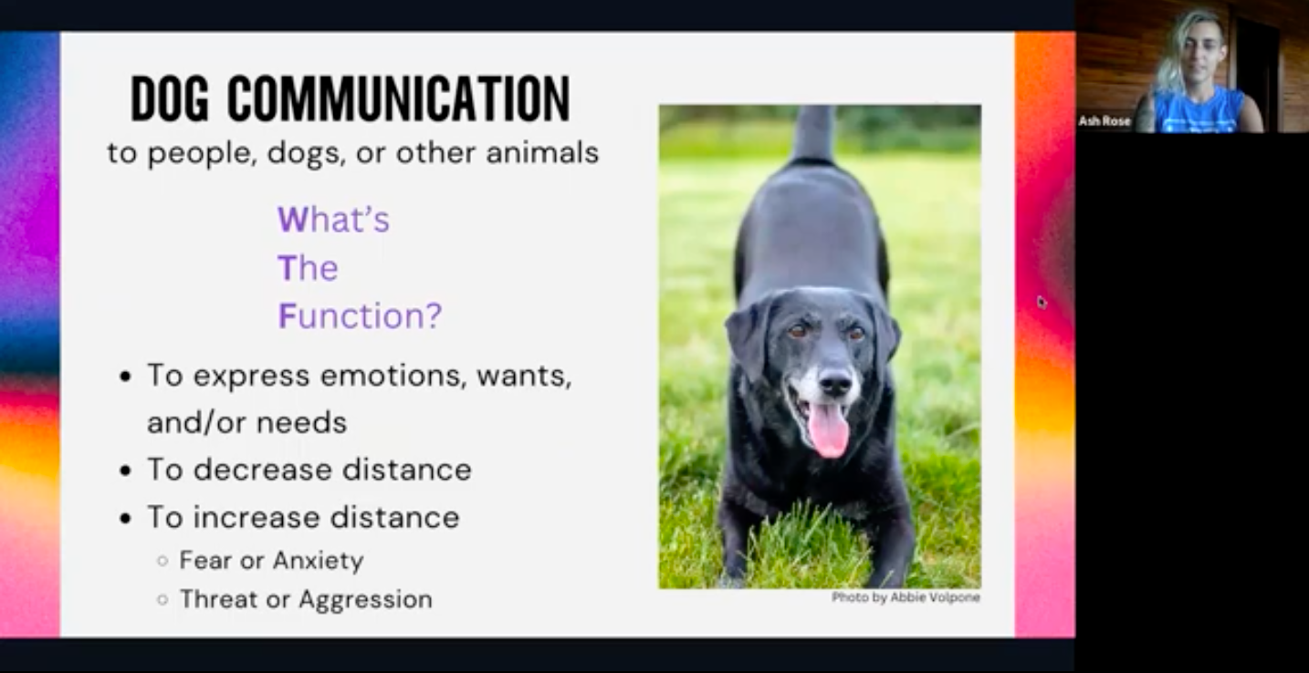 Humane Training Alliance