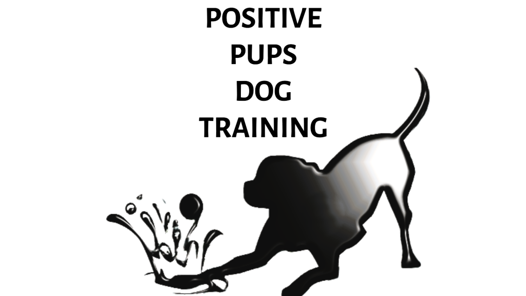 Positive Pups Dog Training - Humane Training Alliance 2025